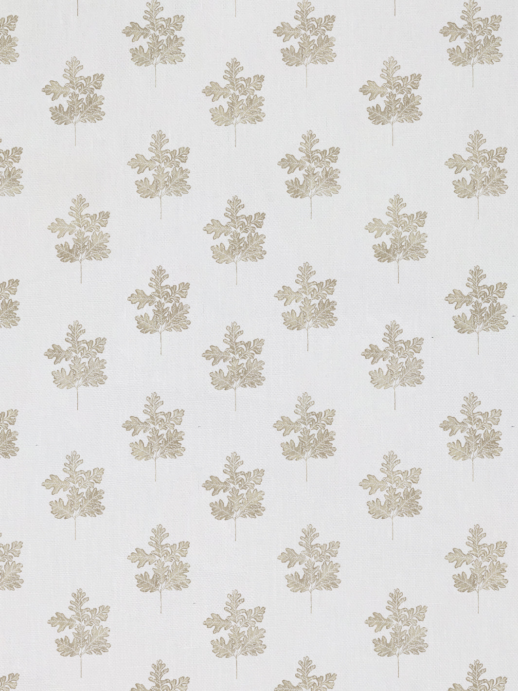 'Valley Oak Leaf' Linen Fabric - Neutral – Nathan Turner