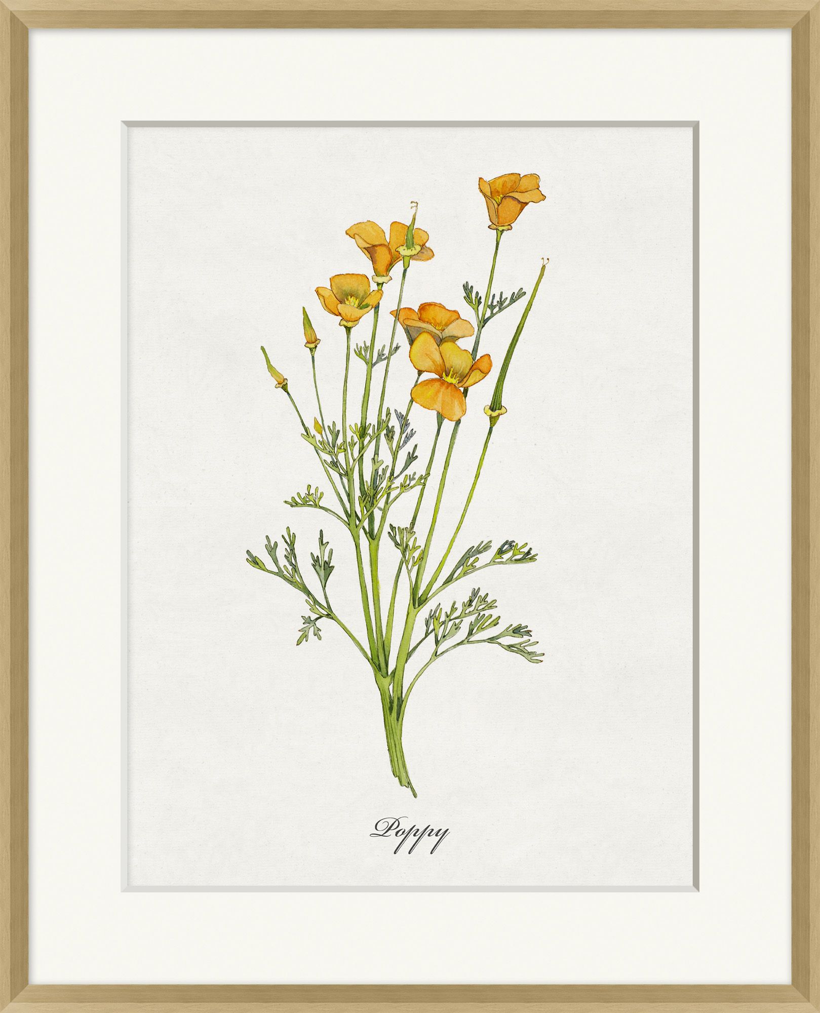 Fine Art – Nathan Turner